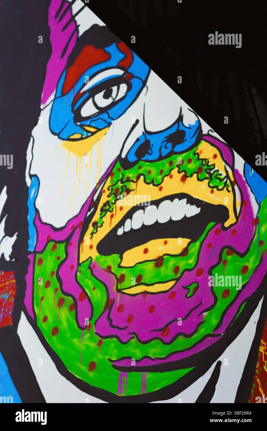 Colorful pop art graffiti portrait of expressive male face Stock Photo ...
