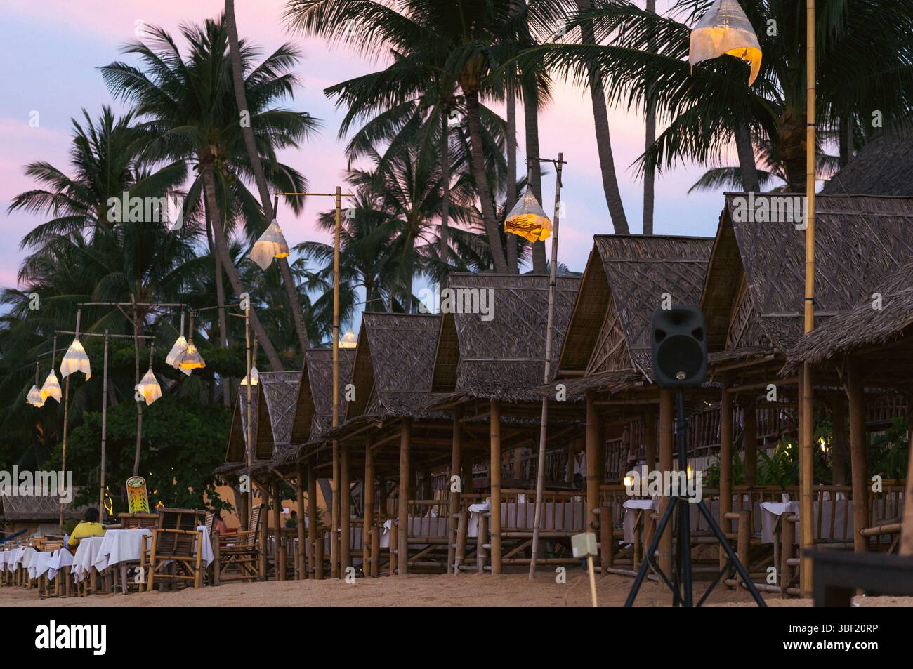 Tropical bamboo beach huts with palm trees at sunset Stock Photo - Alamy