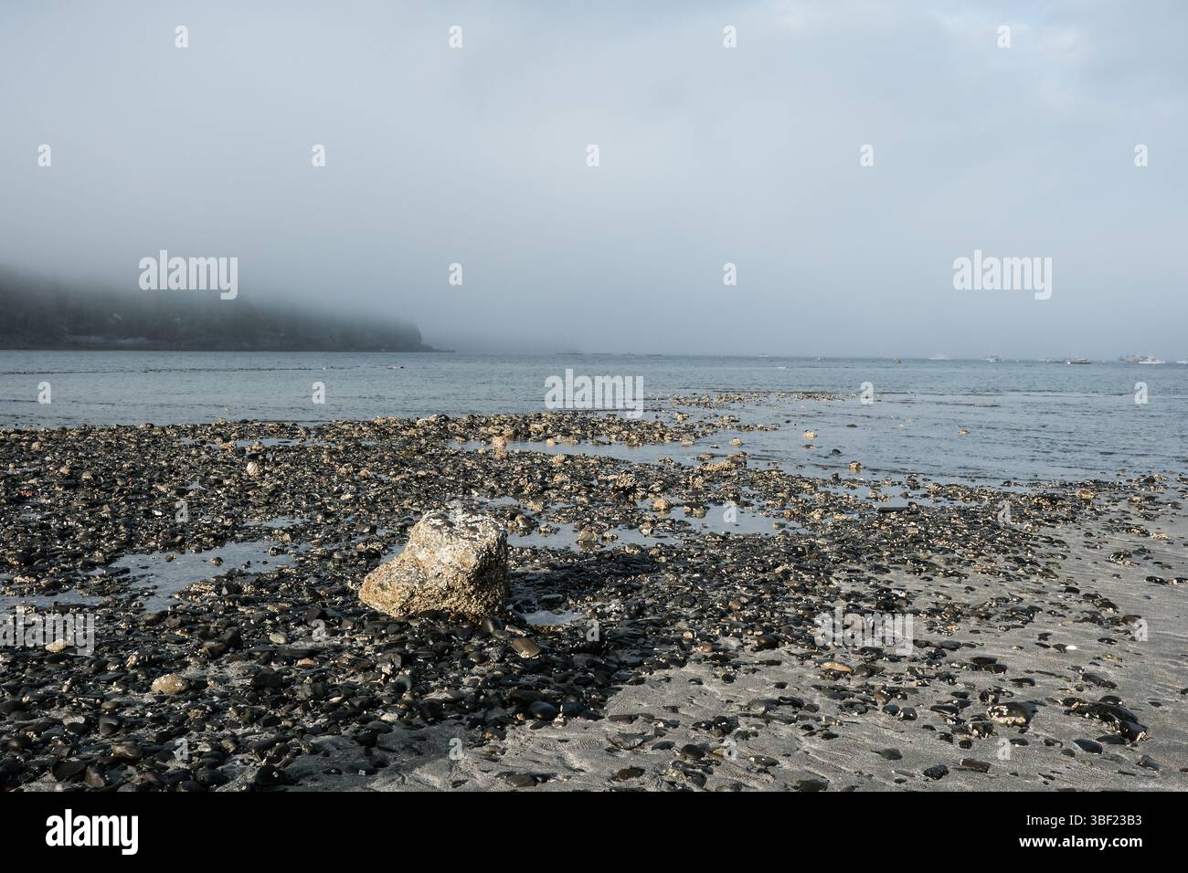 Bar Island Land Bridge in low tide Stock Photo - Alamy