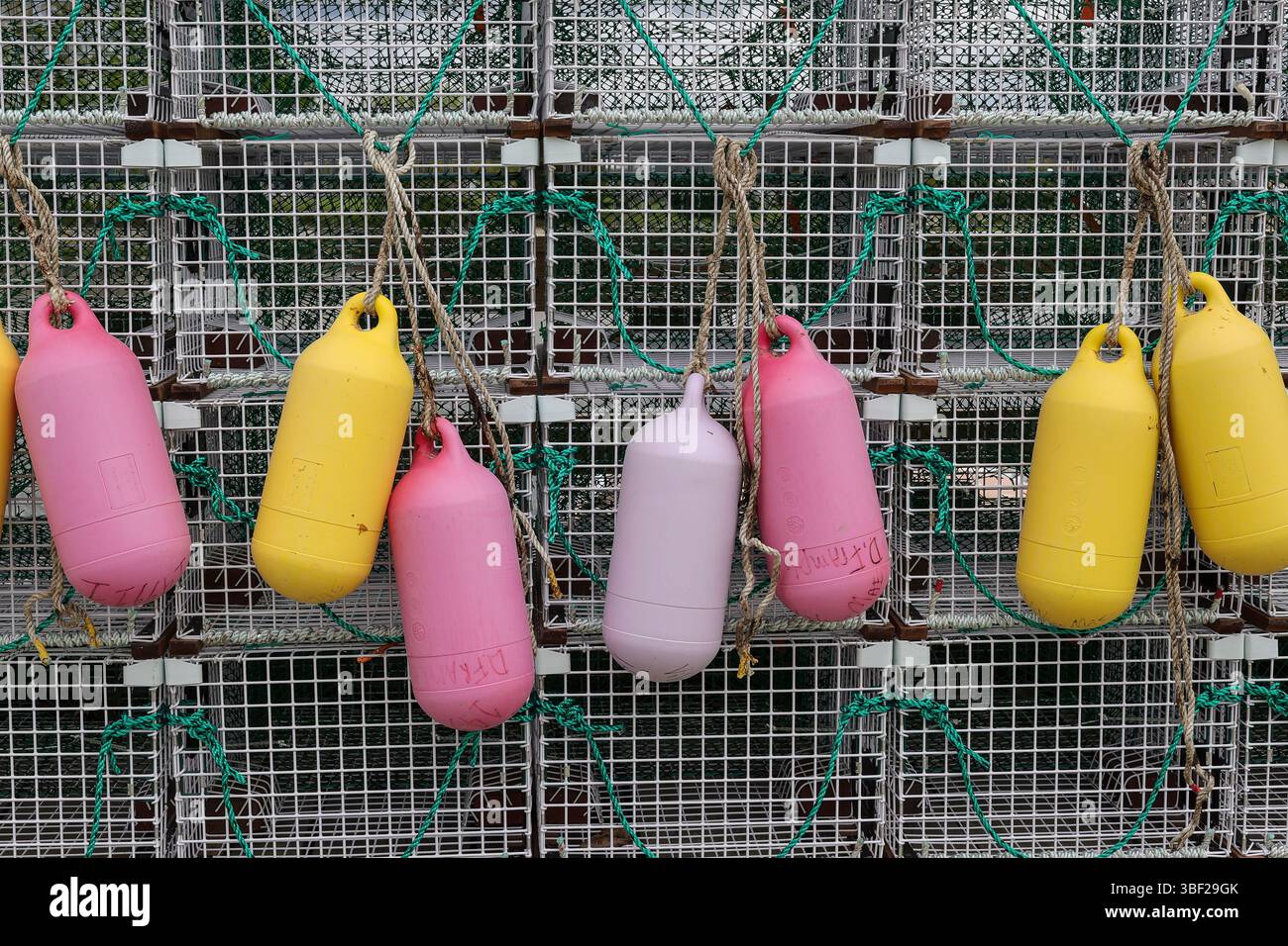 The Commercial Pier in Portsmouth is always busy year round. Traps ...