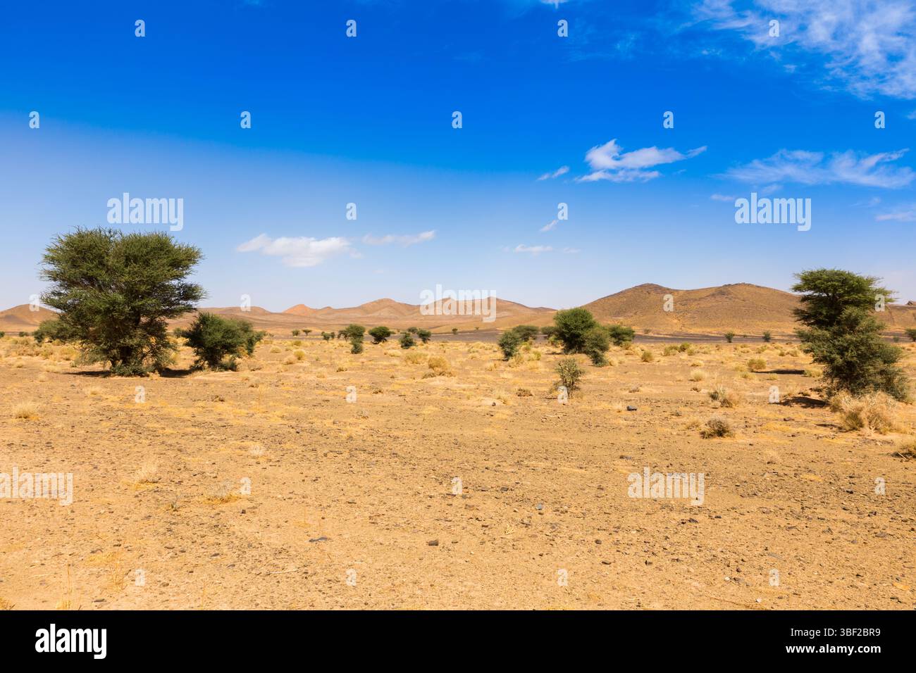 A wide view of the Sahara Desert shows a vast, arid, flat landscape ...