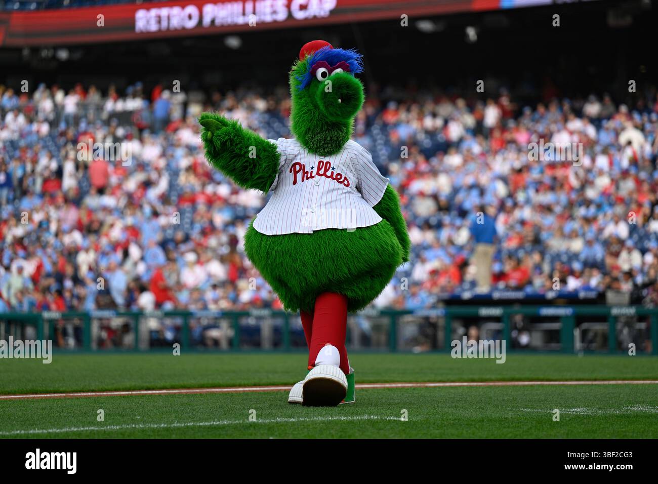 PHILADELPHIA, PA - MAY 29: the Phillies Phanatic entertains the crowd ...