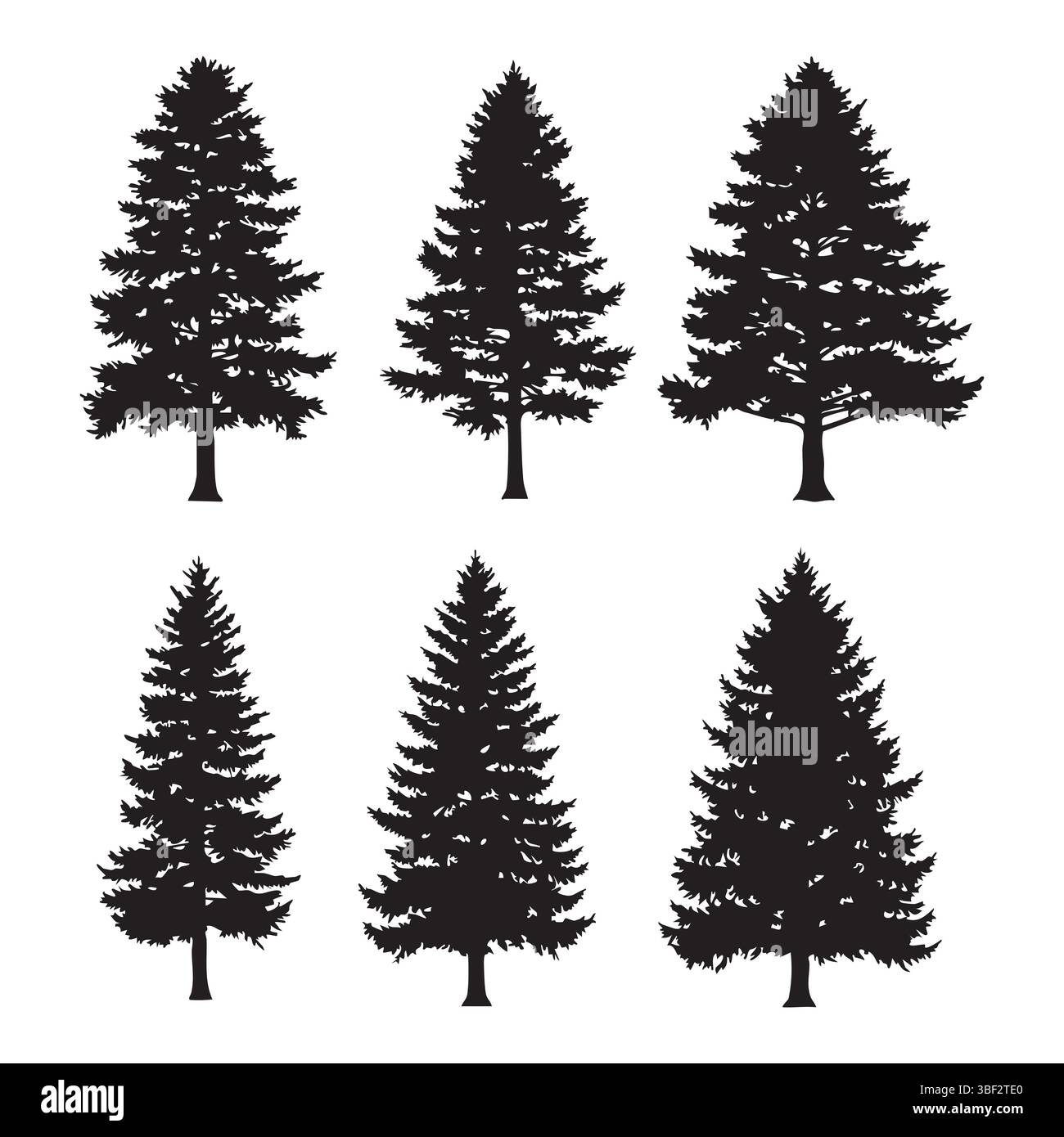 Line pine tree flower Black and White Stock Photos & Images - Alamy