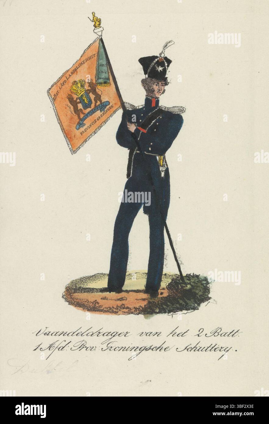 Vaandelbladder van hi-res stock photography and images - Alamy