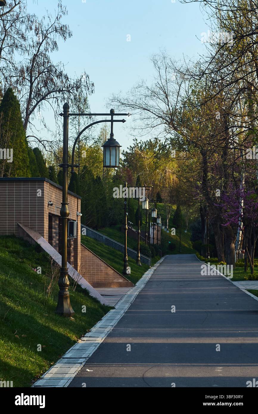 Asphalt alley with lanterns in tashkent park in the evening hi-res ...