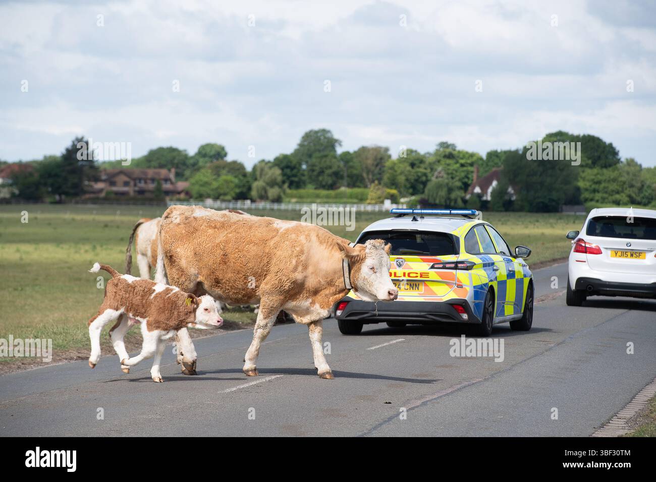 Dorney, Buckinghamshire, UK. 30th May, 2025. Most drivers wait ...