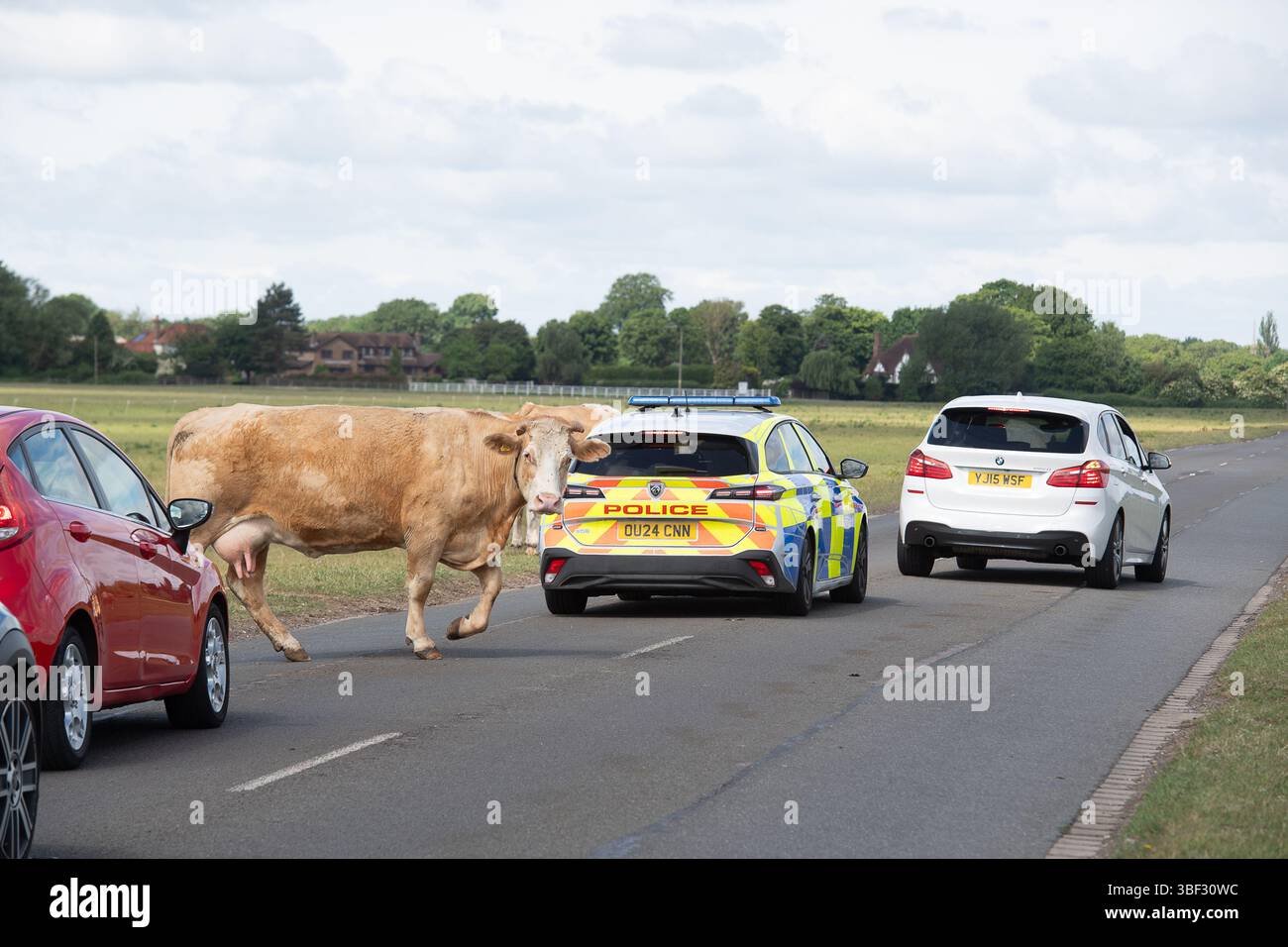 Dorney, Buckinghamshire, UK. 30th May, 2025. Most drivers wait ...