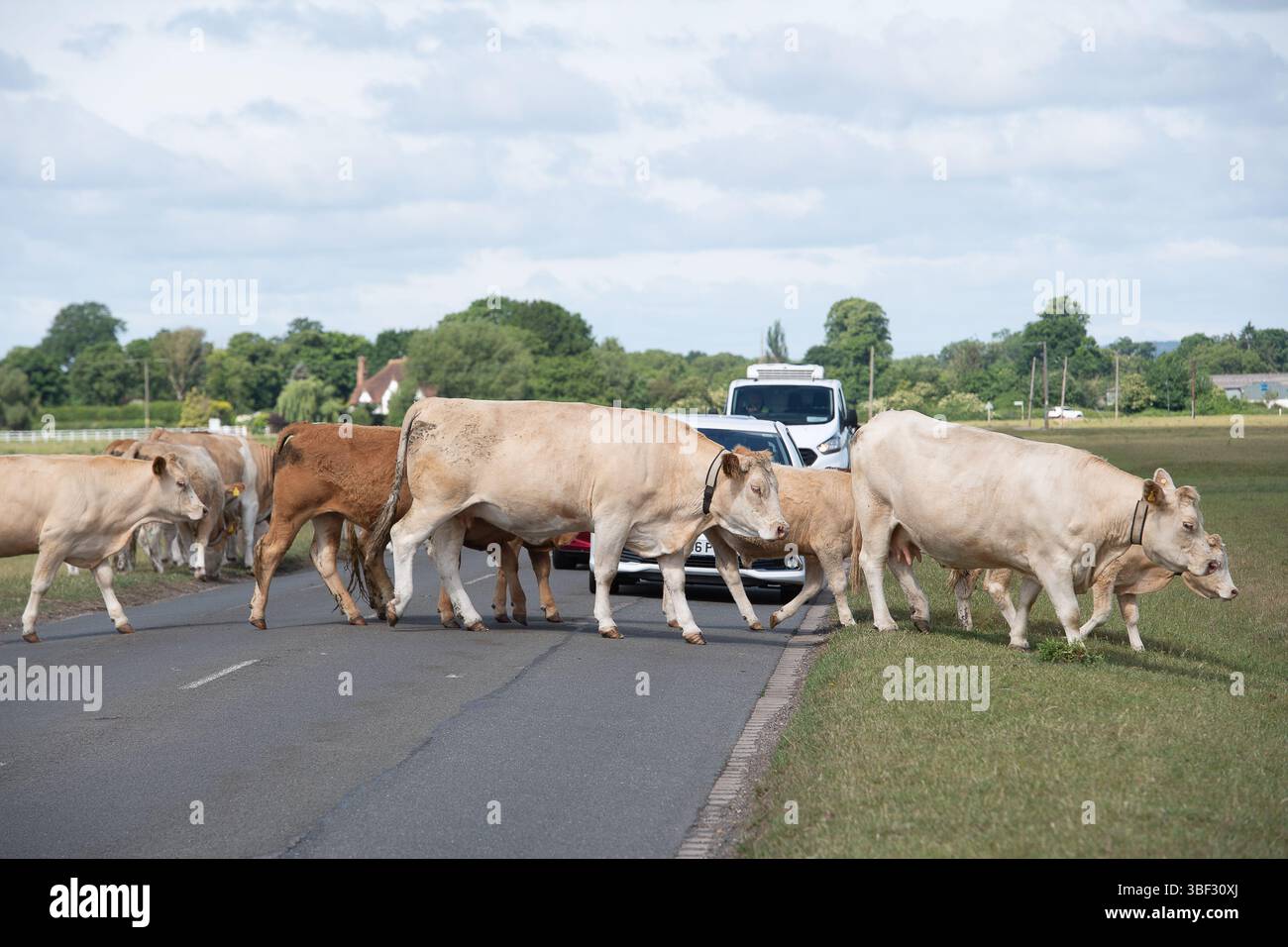 Dorney, Buckinghamshire, UK. 30th May, 2025. Most drivers wait ...