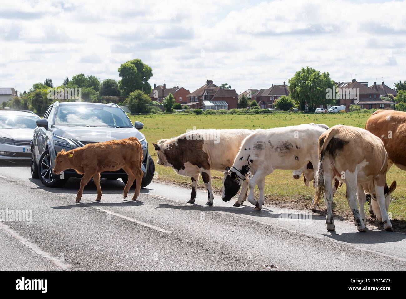Dorney, Buckinghamshire, UK. 30th May, 2025. Most drivers wait ...