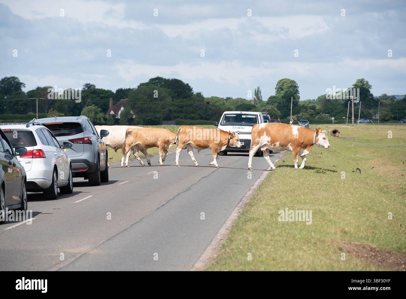 Dorney, Buckinghamshire, UK. 30th May, 2025. Most drivers wait ...