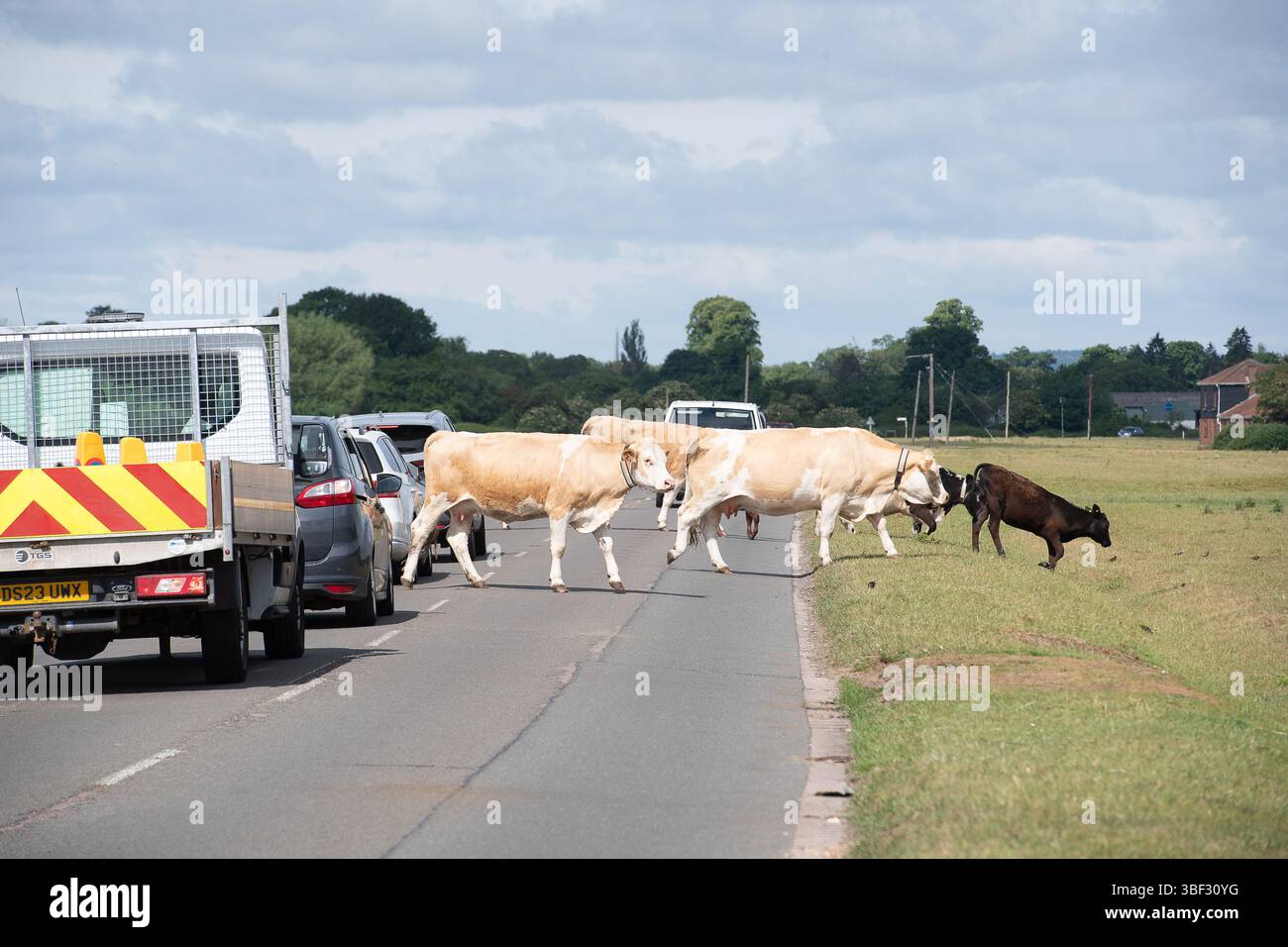 Dorney, Buckinghamshire, UK. 30th May, 2025. Most drivers wait ...