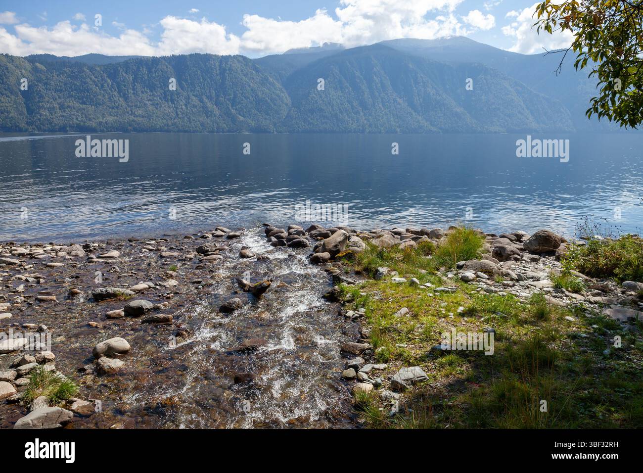 A tranquil lakeside setting featuring a flowing stream entering the ...