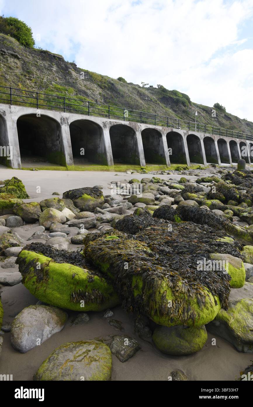 Coronation parade arches hi-res stock photography and images - Alamy
