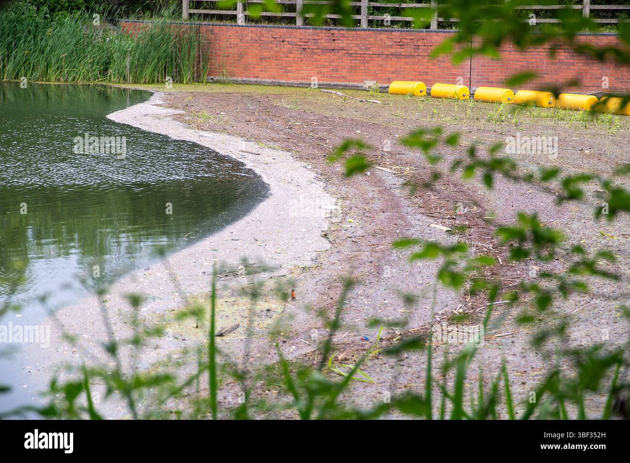 Taplow, Buckinghamshire, UK. 30th May, 2025. Plant debris and signs of ...