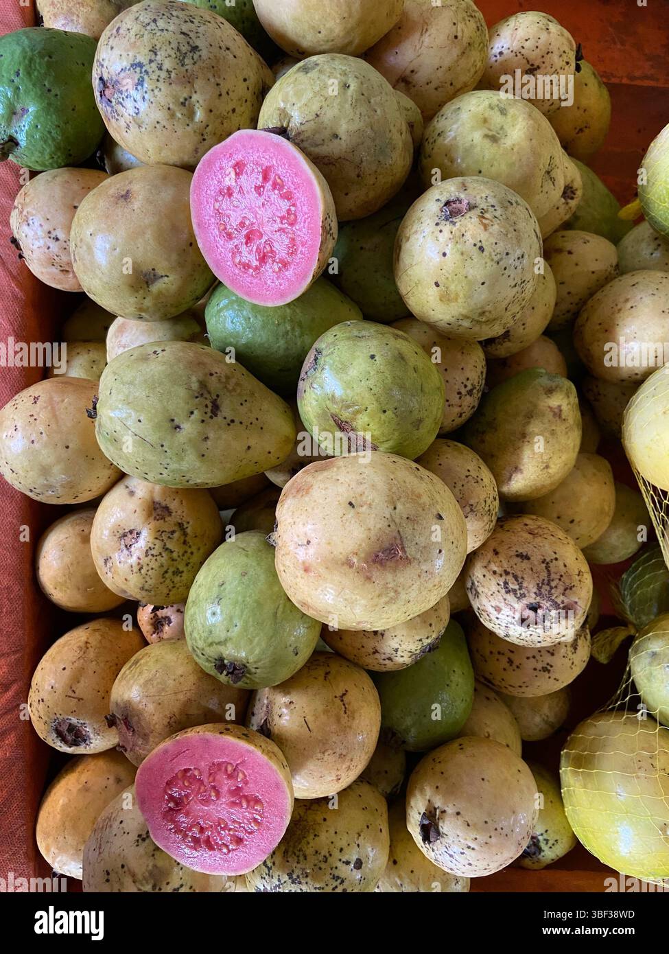 Pile of Guava fruit in a street market in Santarem, Brazil Stock Photo ...