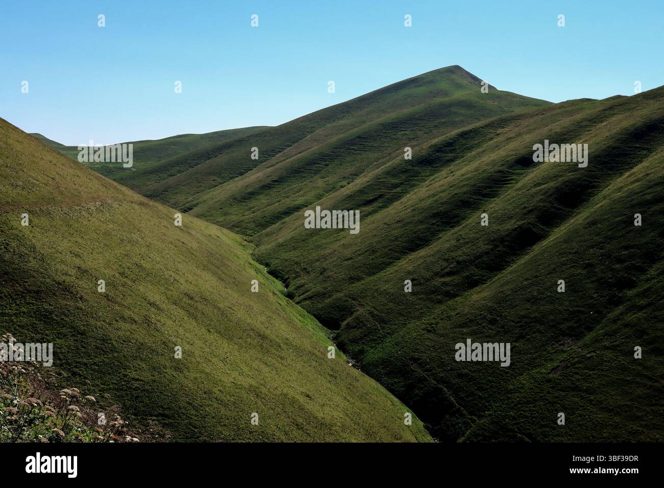 borjom kharagauli park georgian peaks Stock Photo - Alamy
