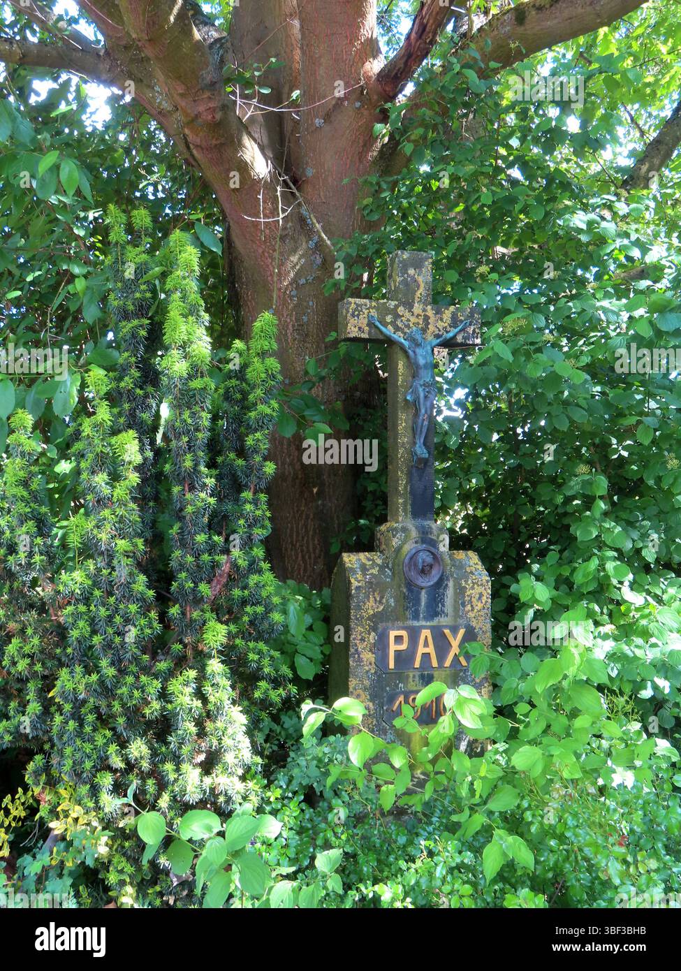 ...hat schon stolze 115 Jahre auf den Balken - und verkuendet immer ...