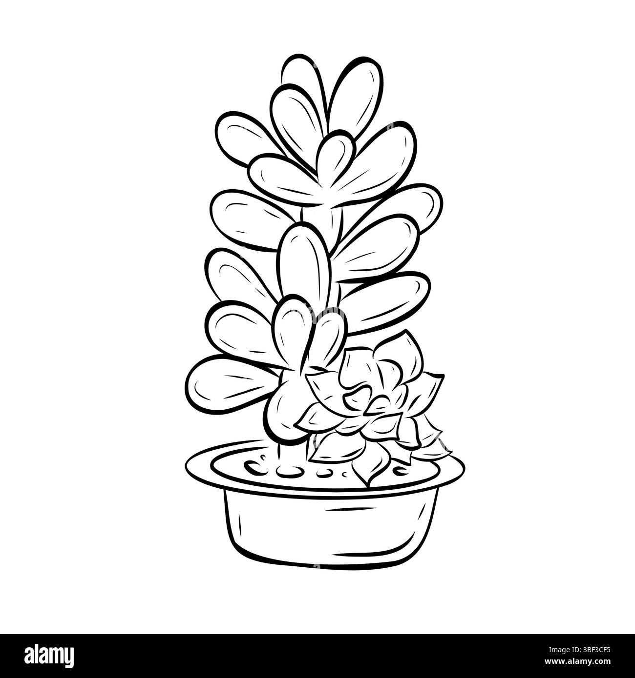 Wonderful succulent in a pot. Vector graphic illustration, object from ...