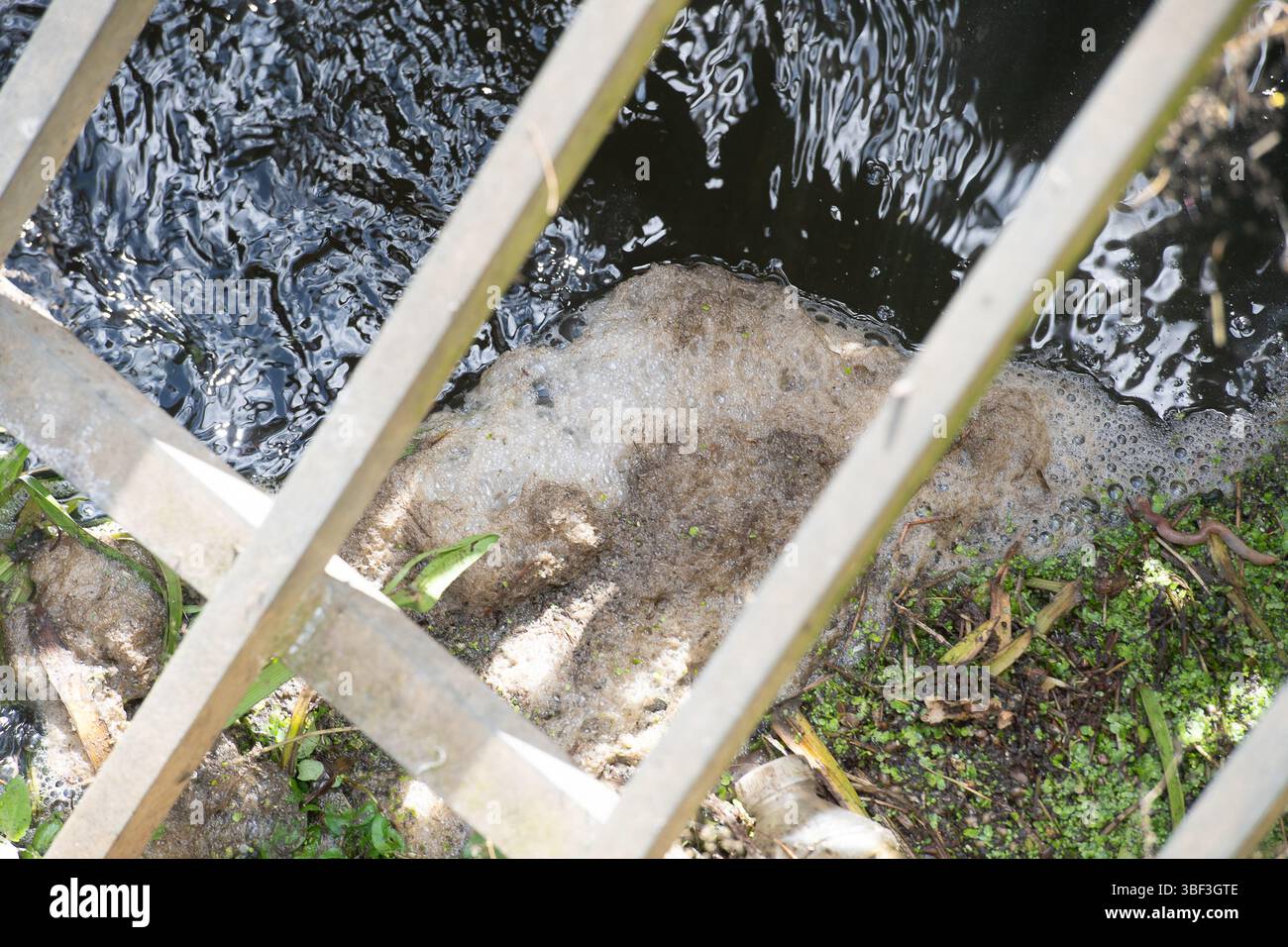 Slough, Berkshire, UK. 30th May, 2025. Possible sewage in the Roundmoor ...