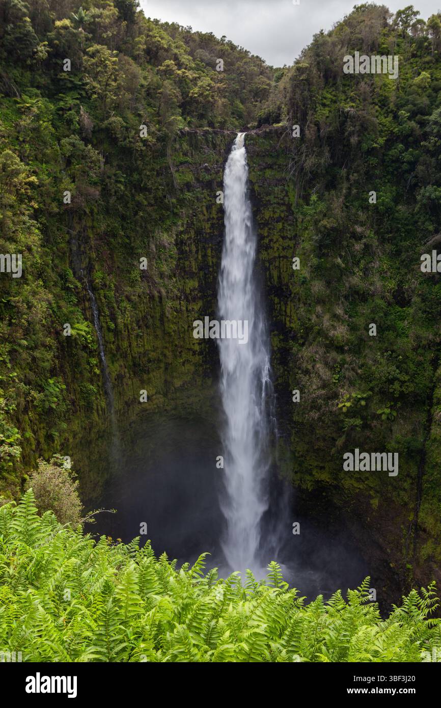 Tall scenic hawaiian waterfall hi-res stock photography and images - Alamy