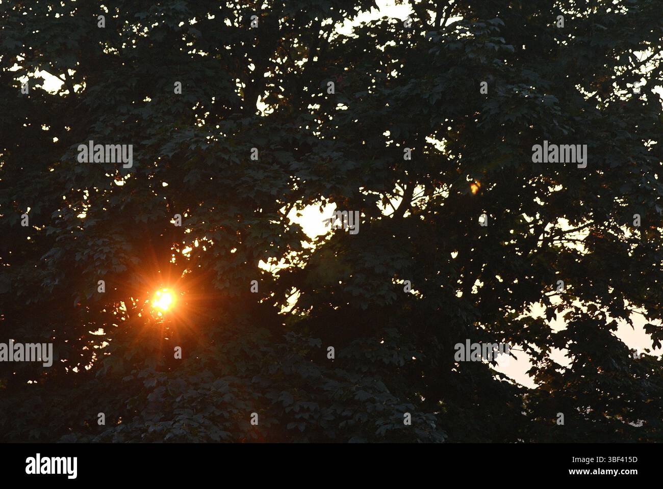 Light rays sunset spots sunlight hi-res stock photography and images ...