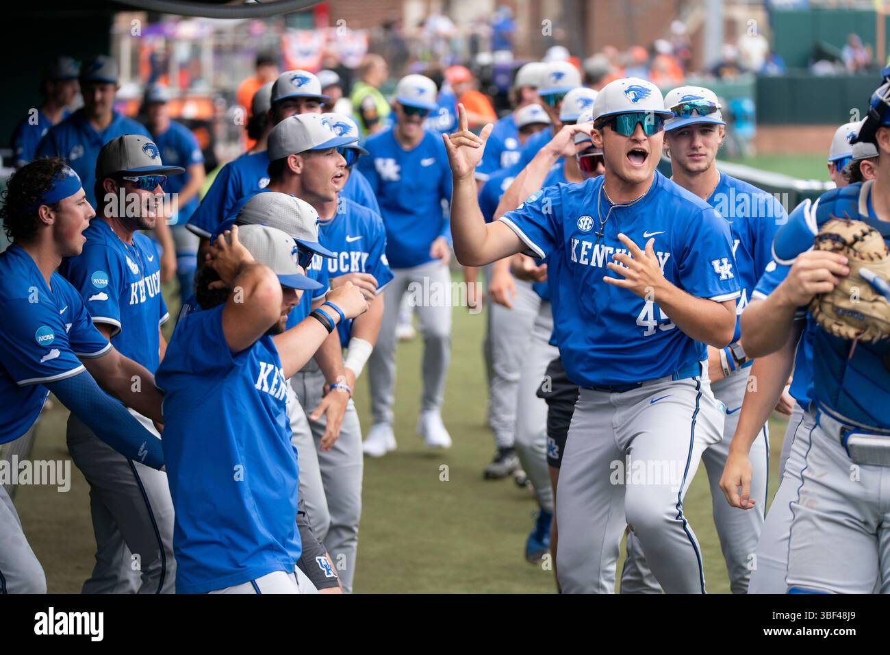Kentucky utility Leighton Harris (45) celebrates a run during an NCAA ...