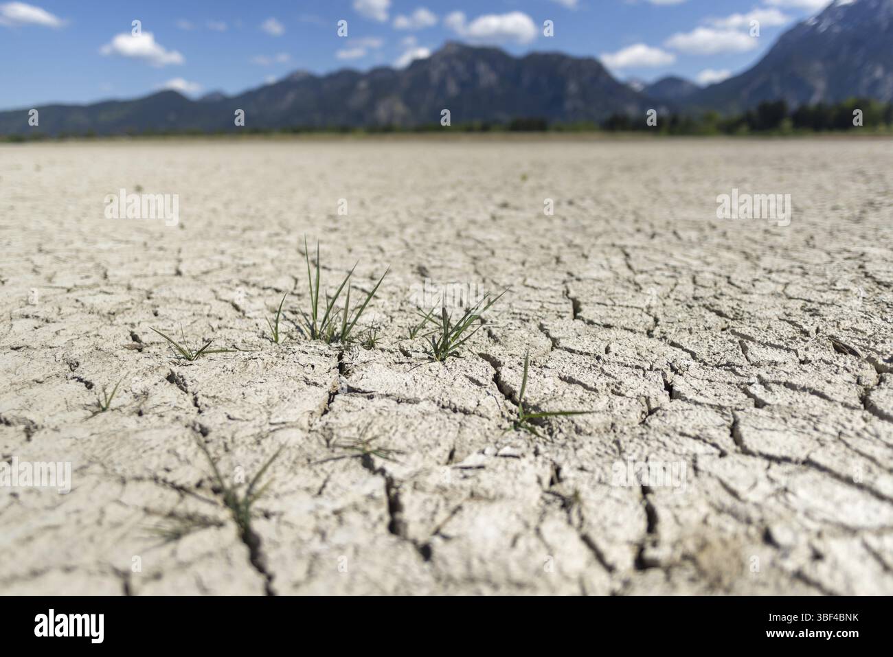 Cracked, dried out ground, waterless Forggensee in spring, behind it ...