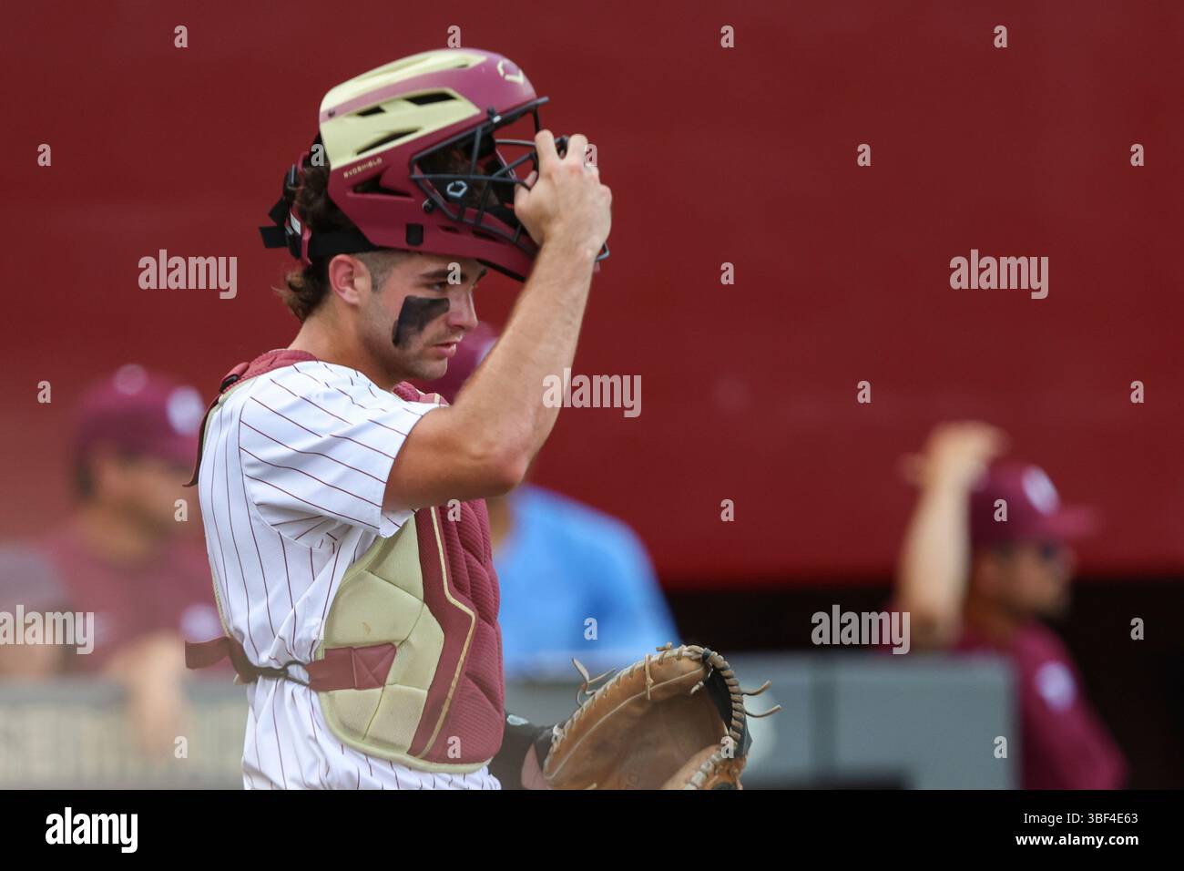 Florida State catcher Hunter Carns (25) dons his headgear during an ...