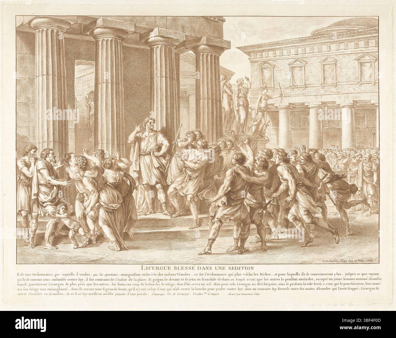 Young alcander caused hi-res stock photography and images - Alamy