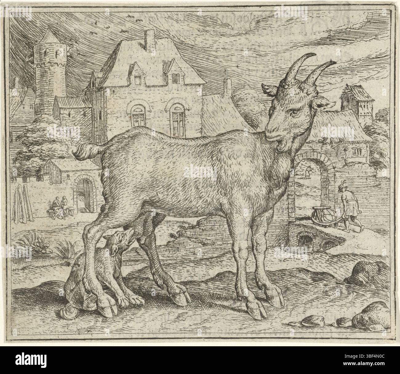 Fabel van de goat hi-res stock photography and images - Alamy
