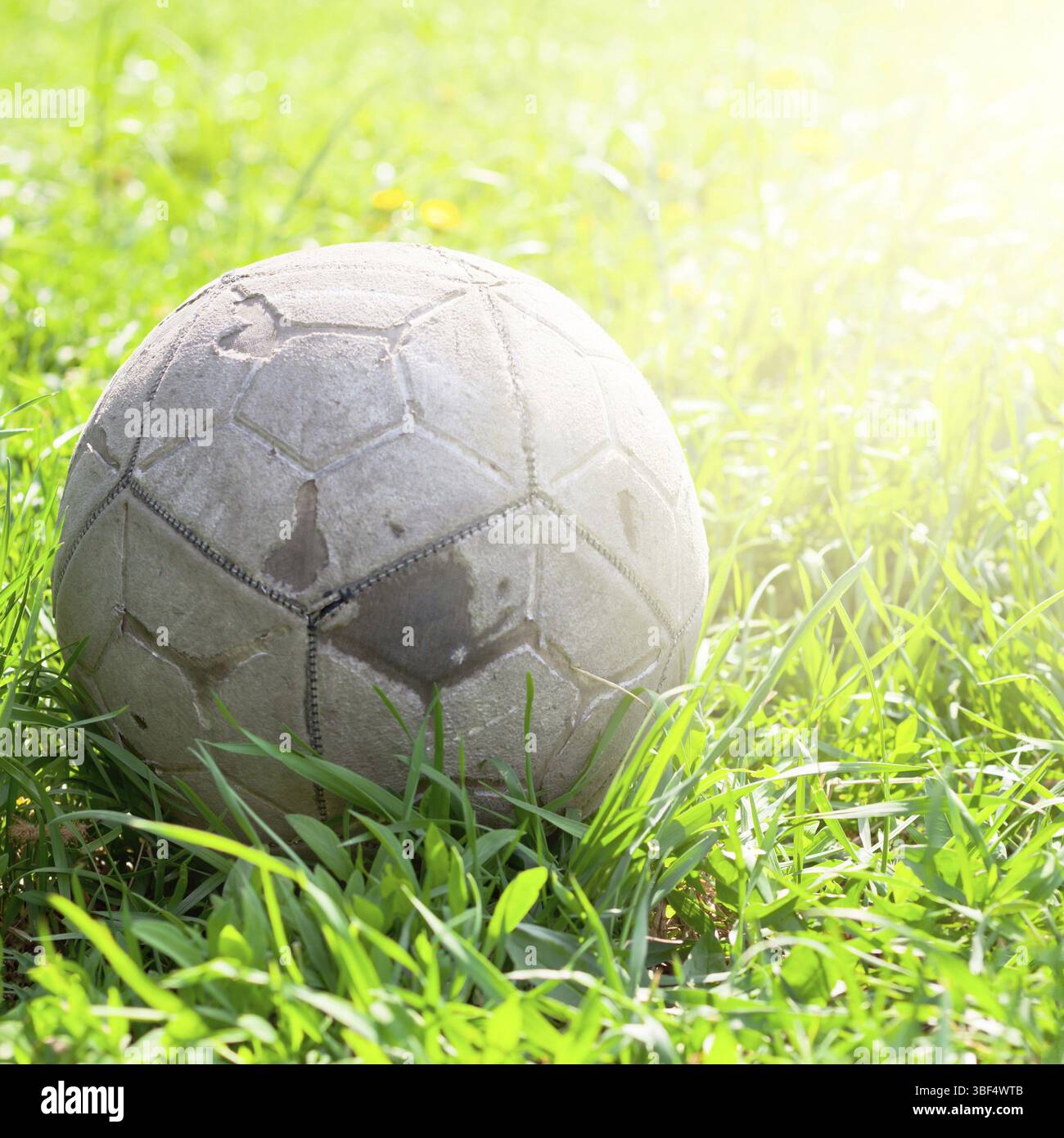 Old soccer ball forgotten in the green grass field. The football ...