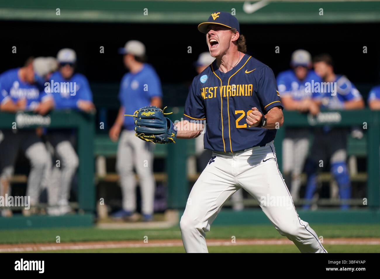 West Virginia pitcher Reese Bassinger celebrates the final out of the ...
