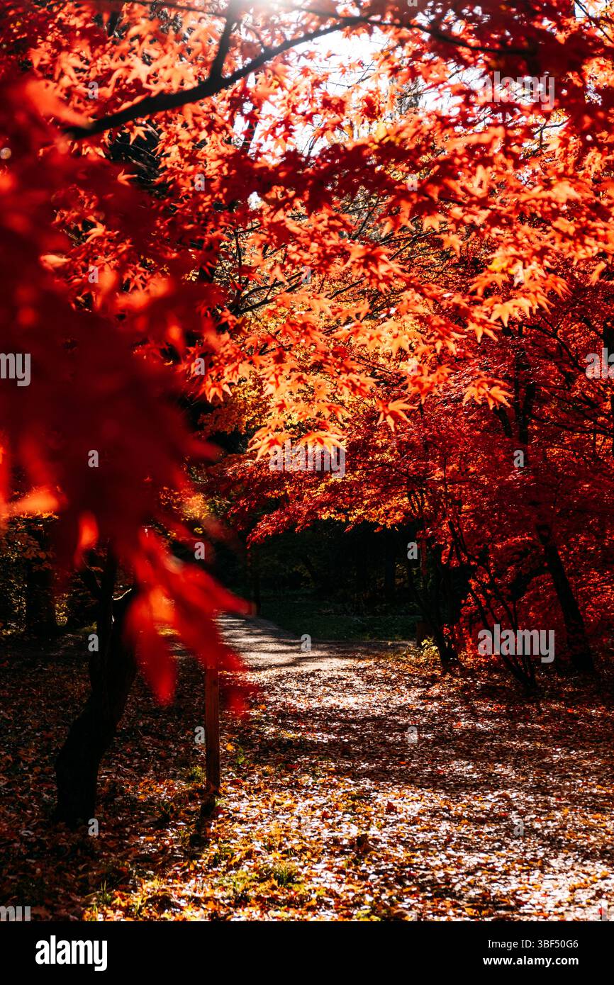 Grounding walk hi-res stock photography and images - Alamy