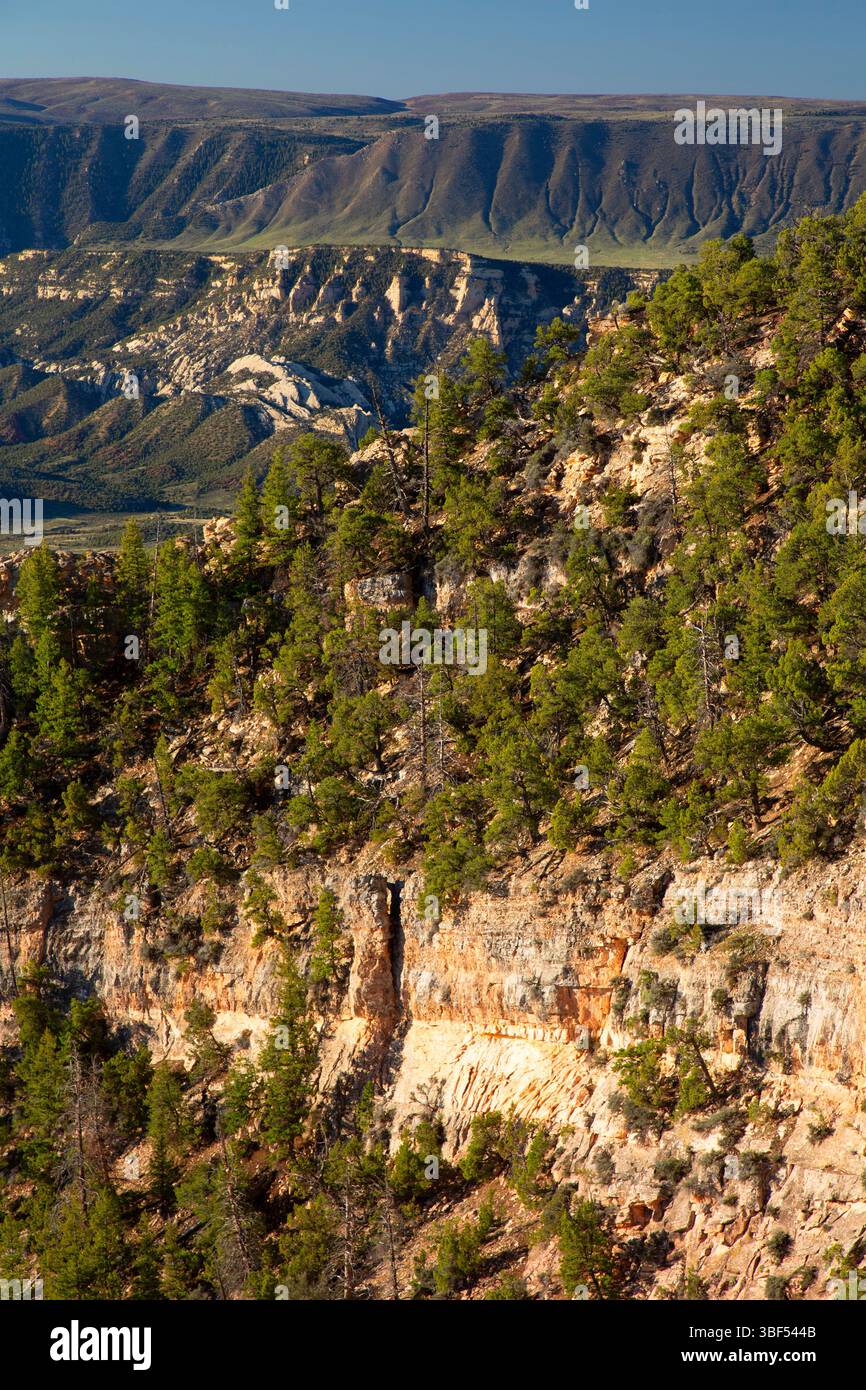 Canyon view from Harpers Corner Trail, Dinosaur National Monument ...