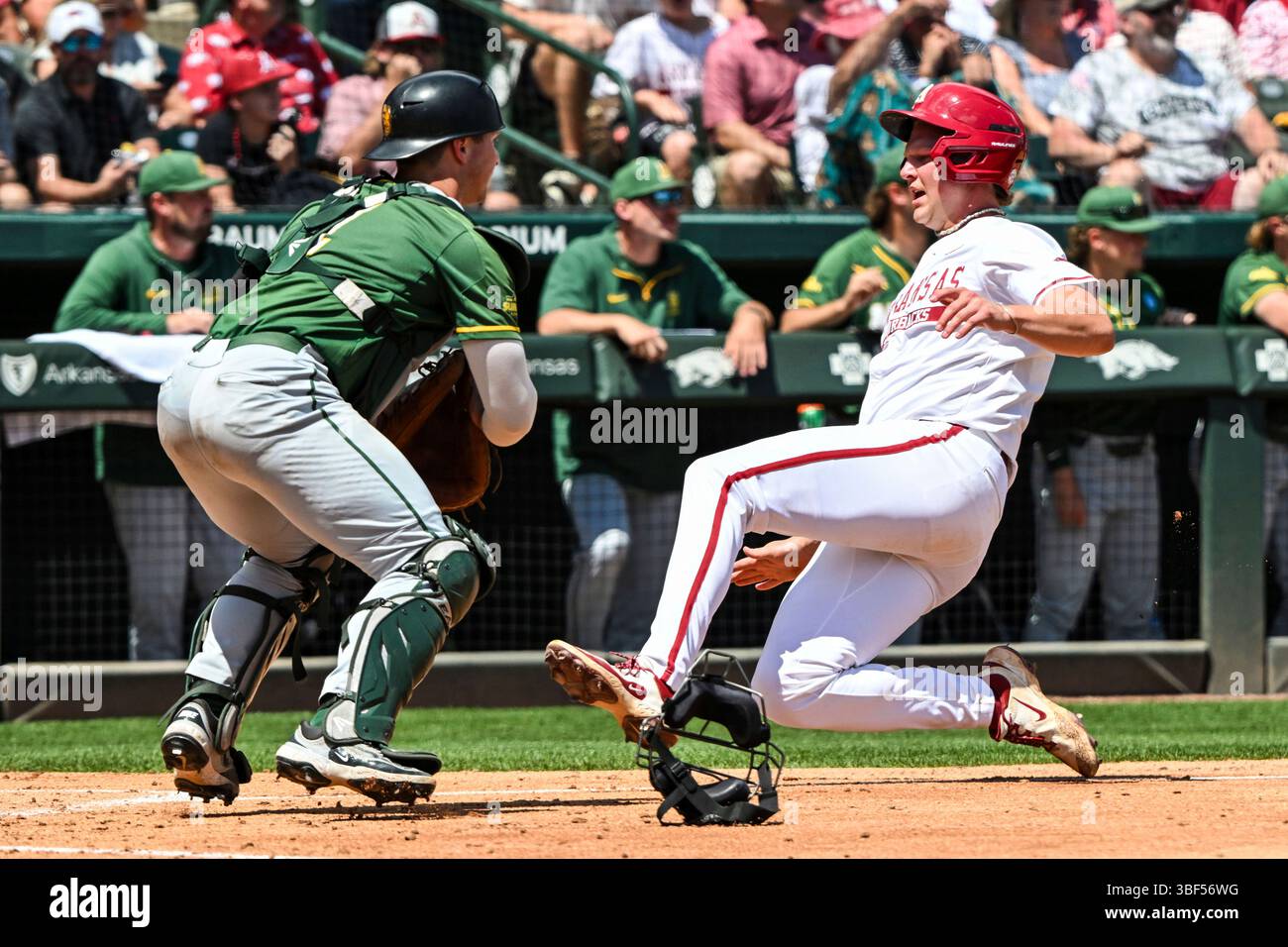 Arkansas baserunner Reese Robinett (18) slides past North Dakota State ...