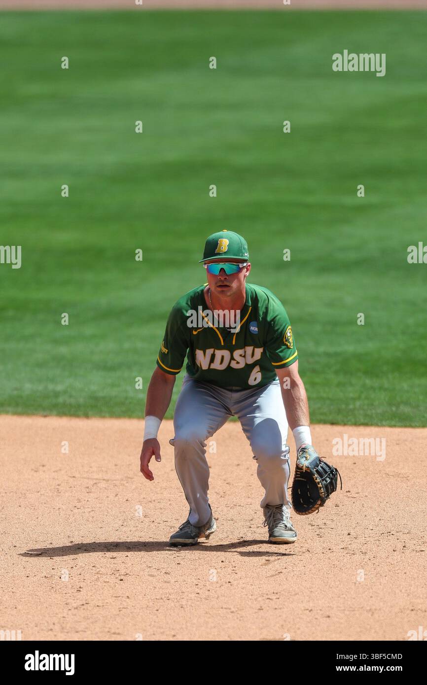 May 30, 2025: North Dakota State first baseman Alex Urlaub (6) readies ...
