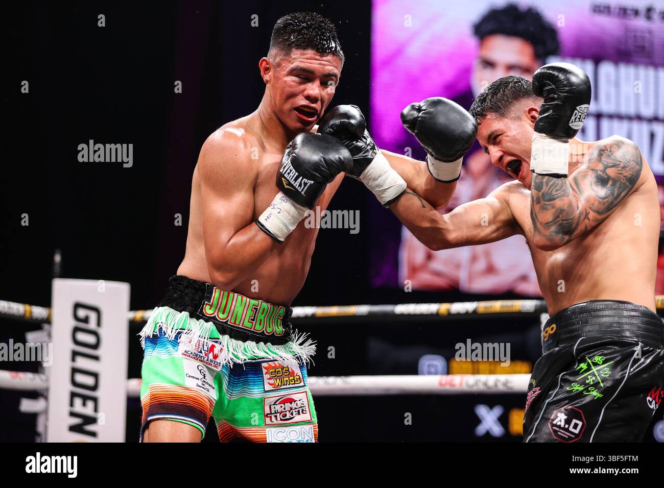 May 30, 2025: (R-L) Lightweight Camilo Rodriguez punches Daniel Garcia ...