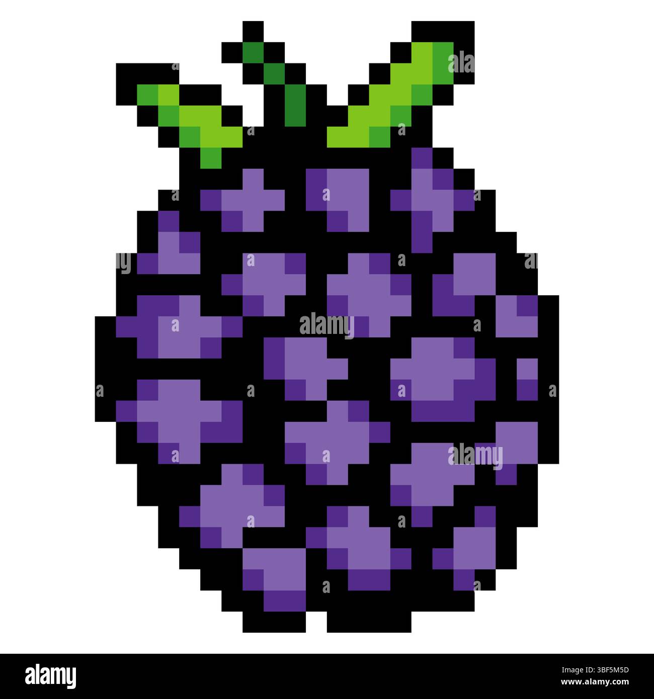 Blackberry fruit with pixel art isolated on white background Stock ...