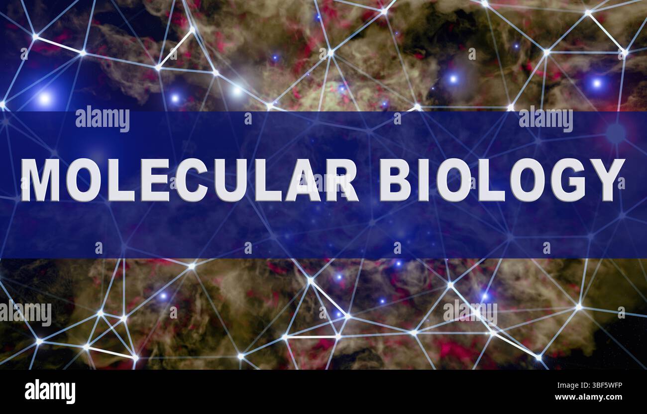 Molecular biology. Studies the molecular basis of biological activity ...
