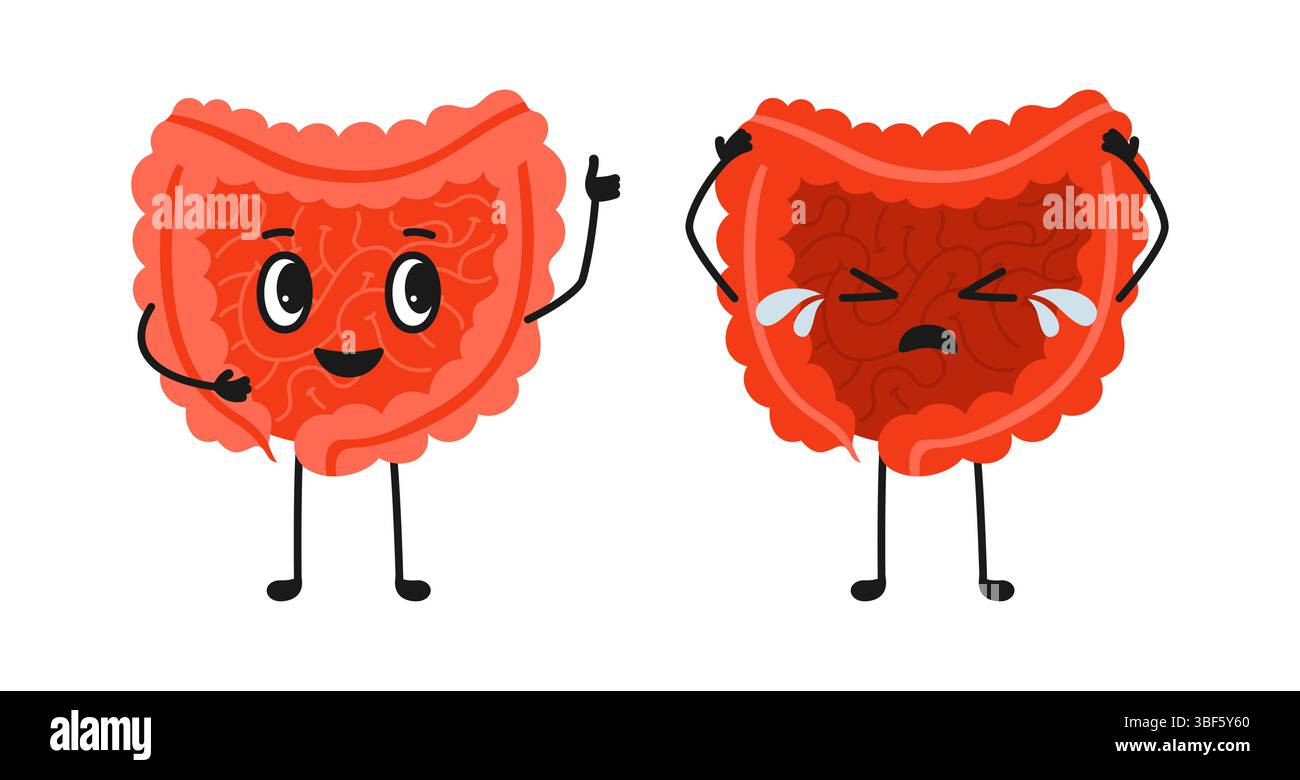 Two intestine healthy and unhealthy cartoon childish illustration ...