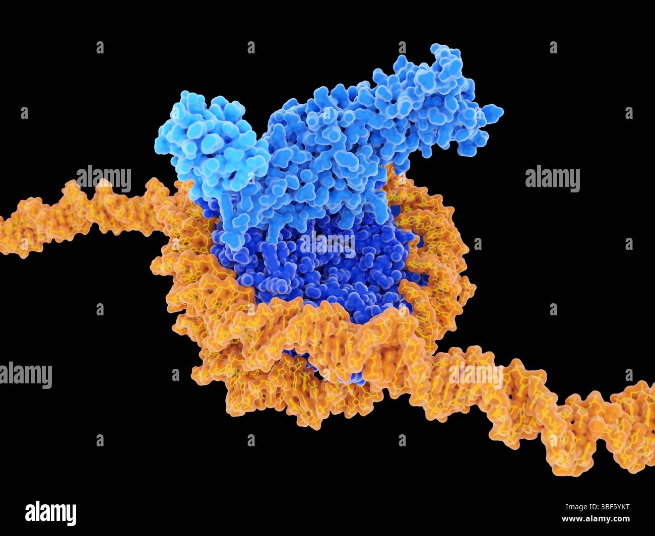 Histone methylation, molecular model Stock Photo - Alamy
