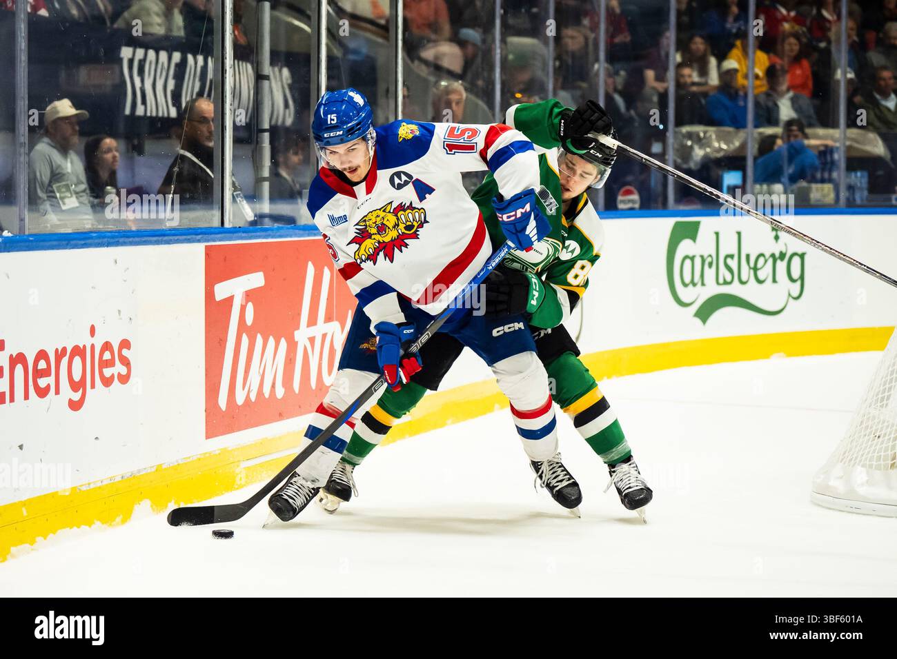 Moncton Wildcats' Vincent Collard (15) and London Knights' Denver ...