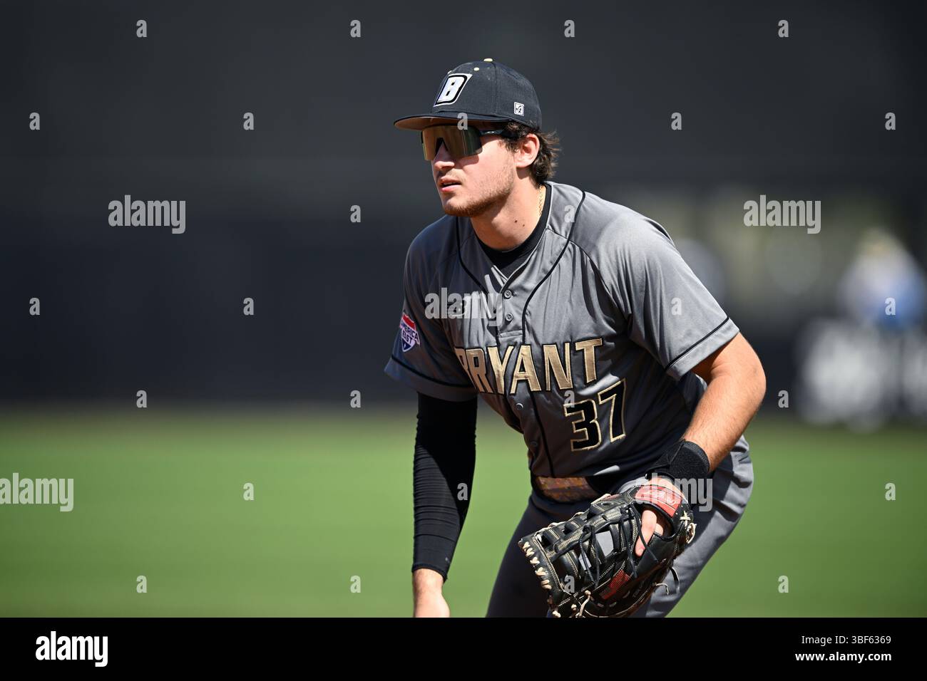 Bryant infielder Pat D'Amico (37) during an NCAA college baseball game ...