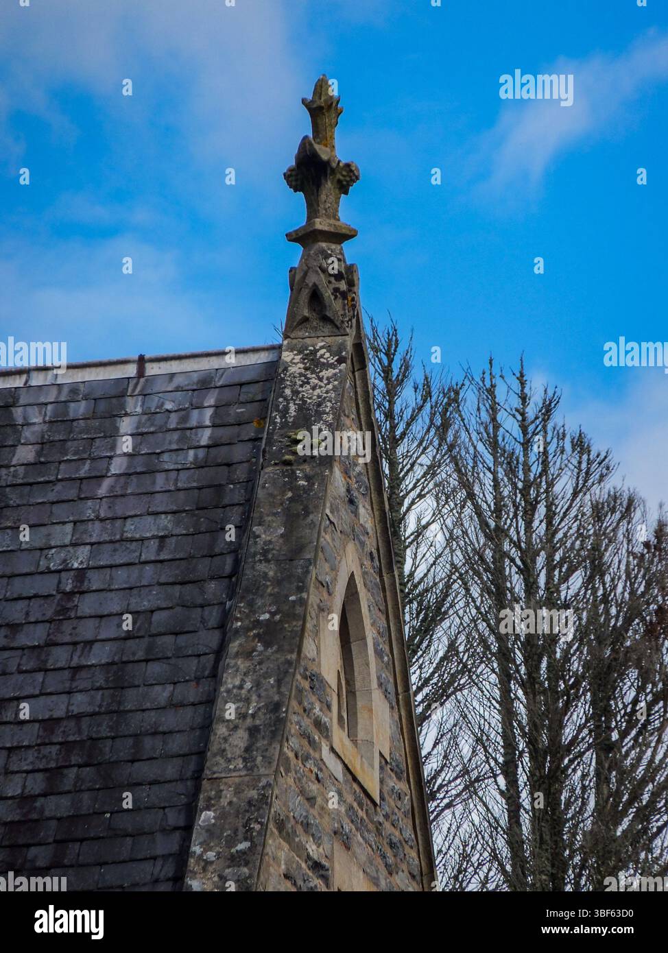An ornamental finial on one of the peaks of the Loch Ness Centre and ...