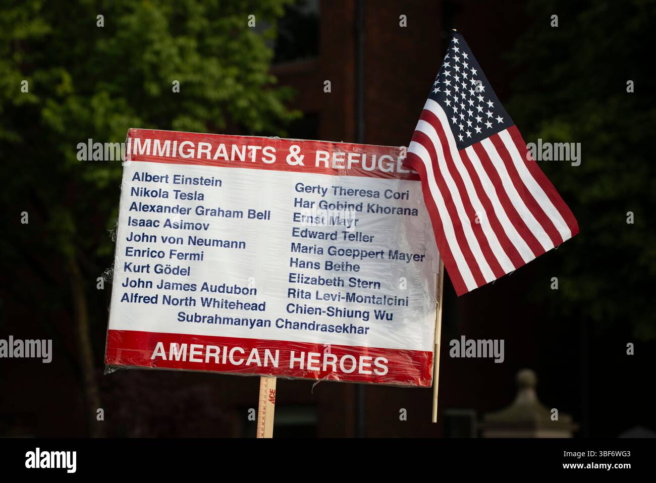 Harvard demonstration in support of international students, Harvard ...