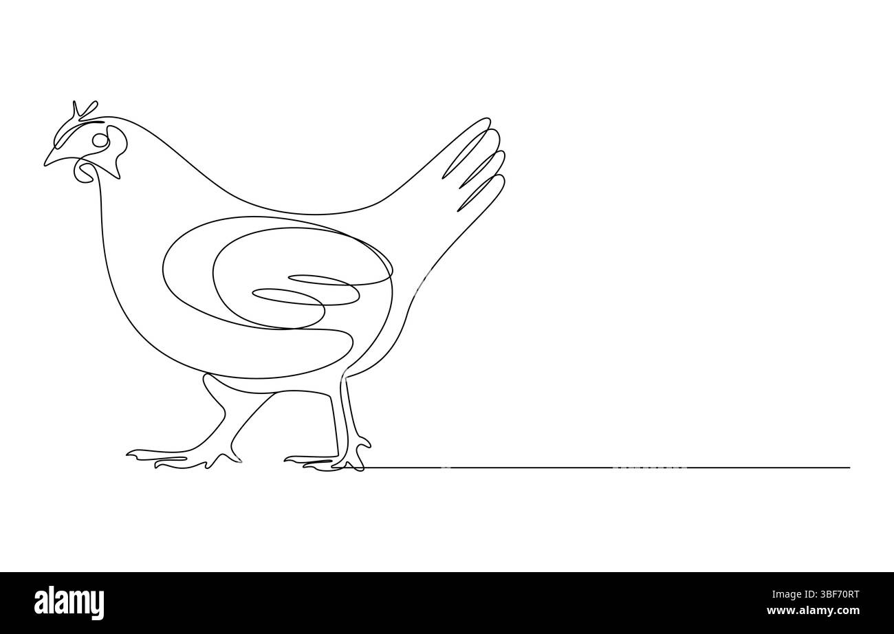 Elegant Line Art A Single Line Depicting a Chicken in Profile, Single ...