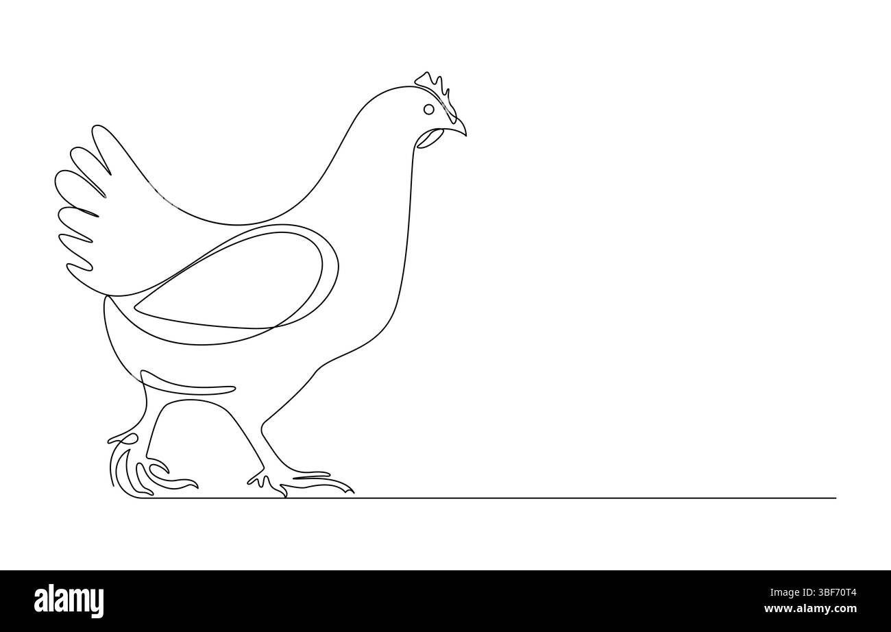Elegant Line Art A Single Line Depicting a Chicken in Profile, Single ...