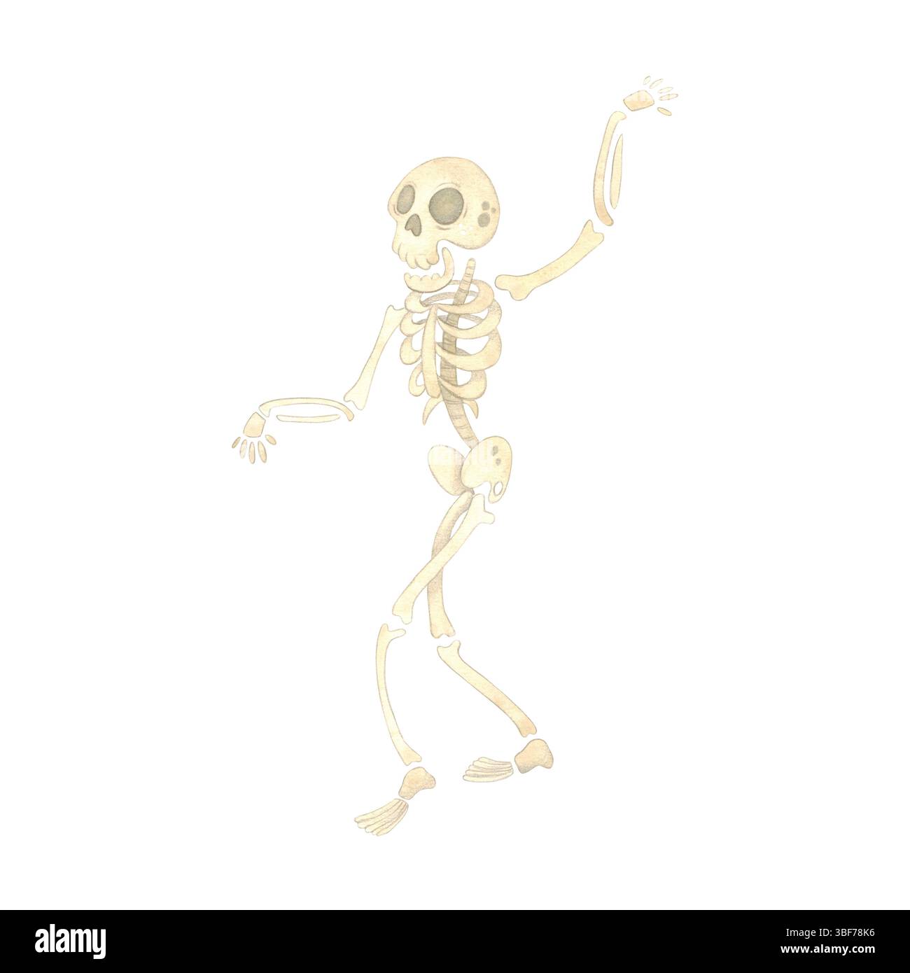 Funny dancing skeleton cartoon character Cut Out Stock Images ...