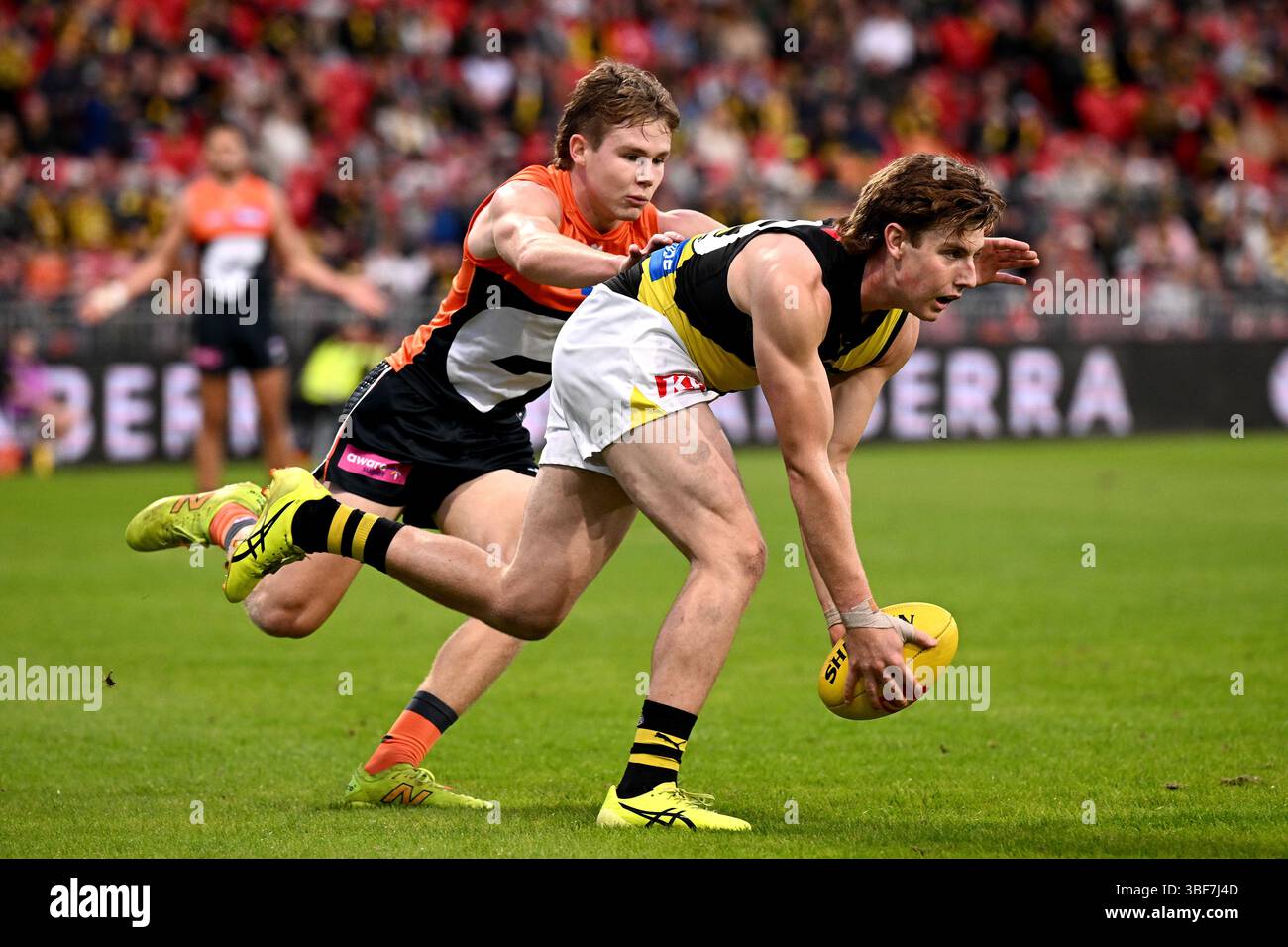 Sydney, Australia. 31st May, 2025. Kaleb Smith of the Tigers contests ...