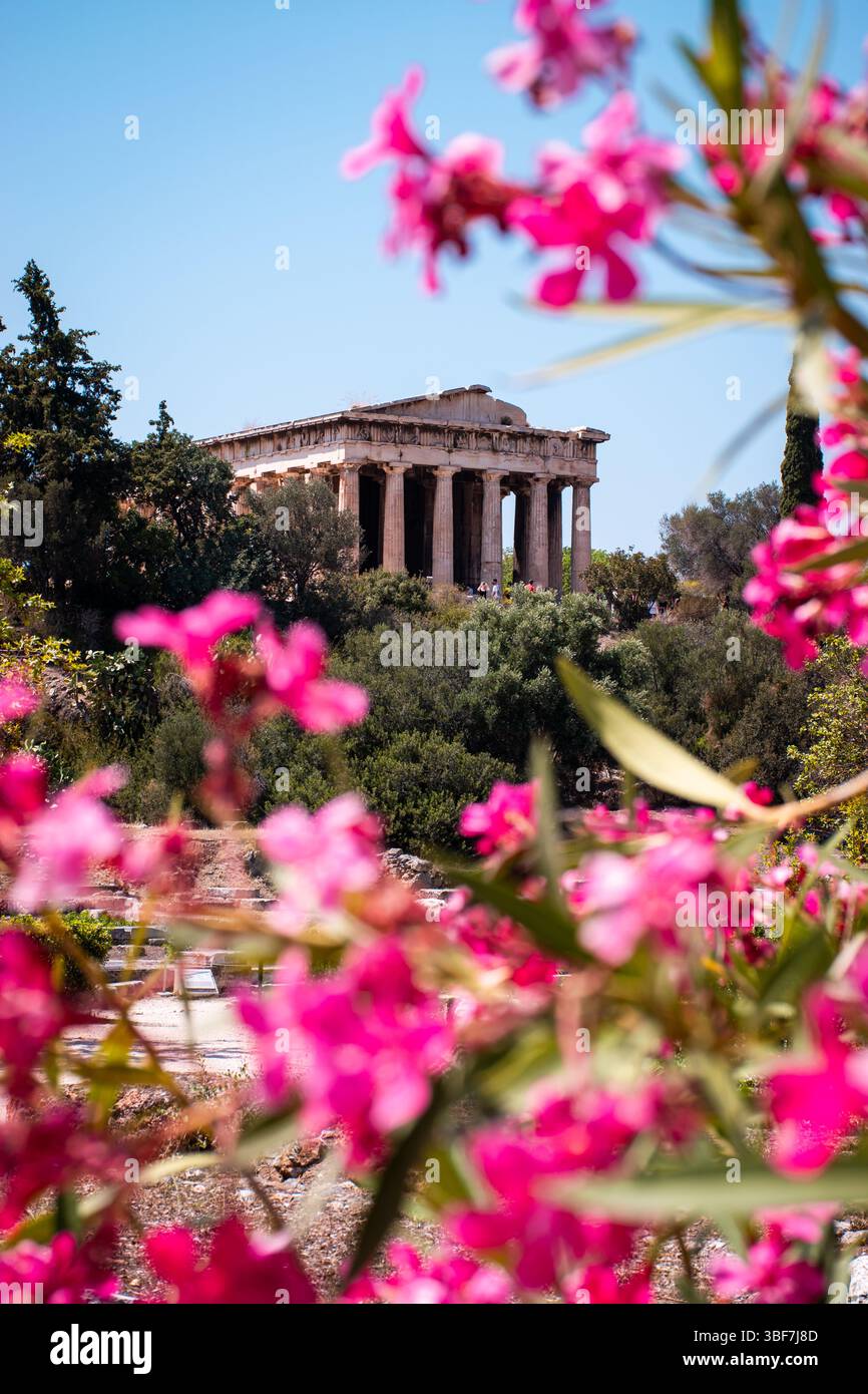 Ancient Greek temple surrounded by vibrant pink flowers, blending ...